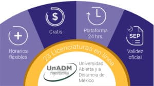 Todas las Ingenierías en línea en Universidades Públicas 2025