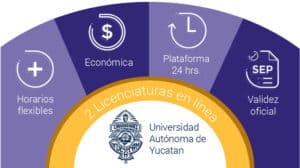 Licenciaturas en línea del UADY